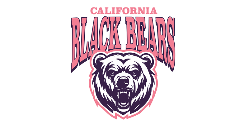 Layne Sleeth - Major League Pickleball